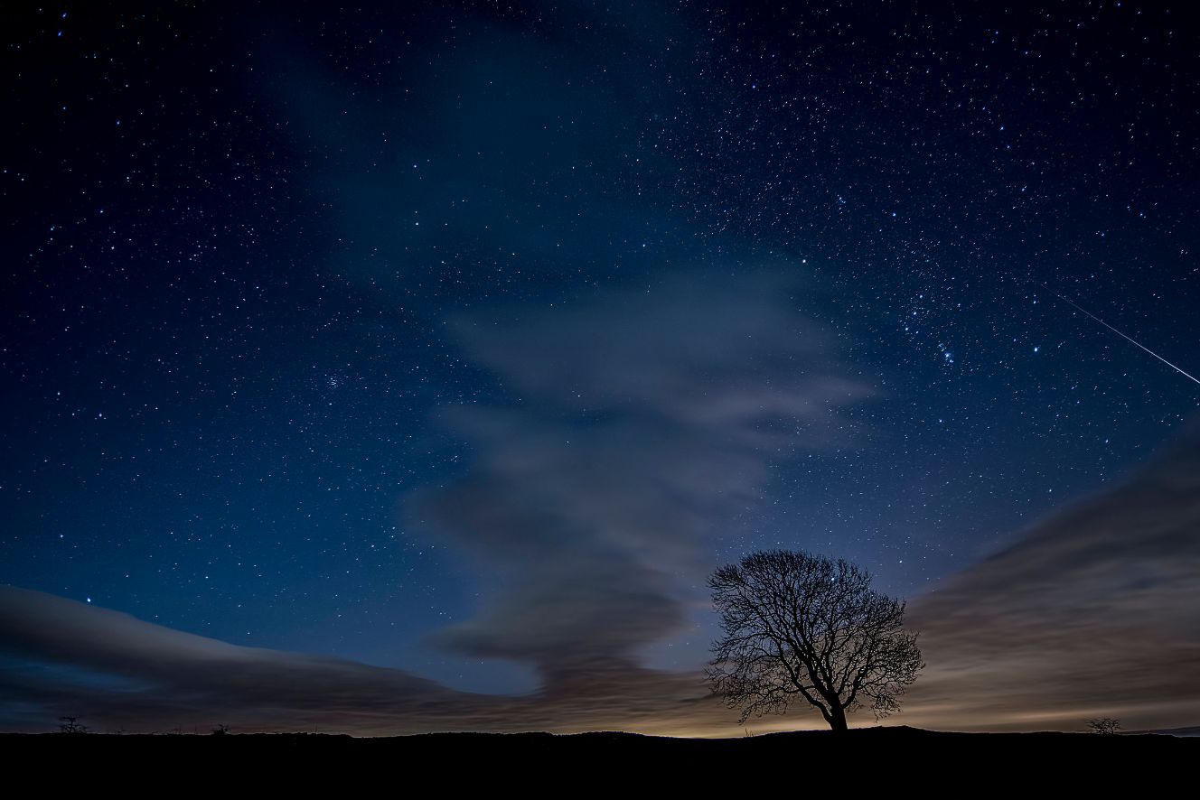 Shooting Star Creamery Scorpio | Tomales Bay Foods