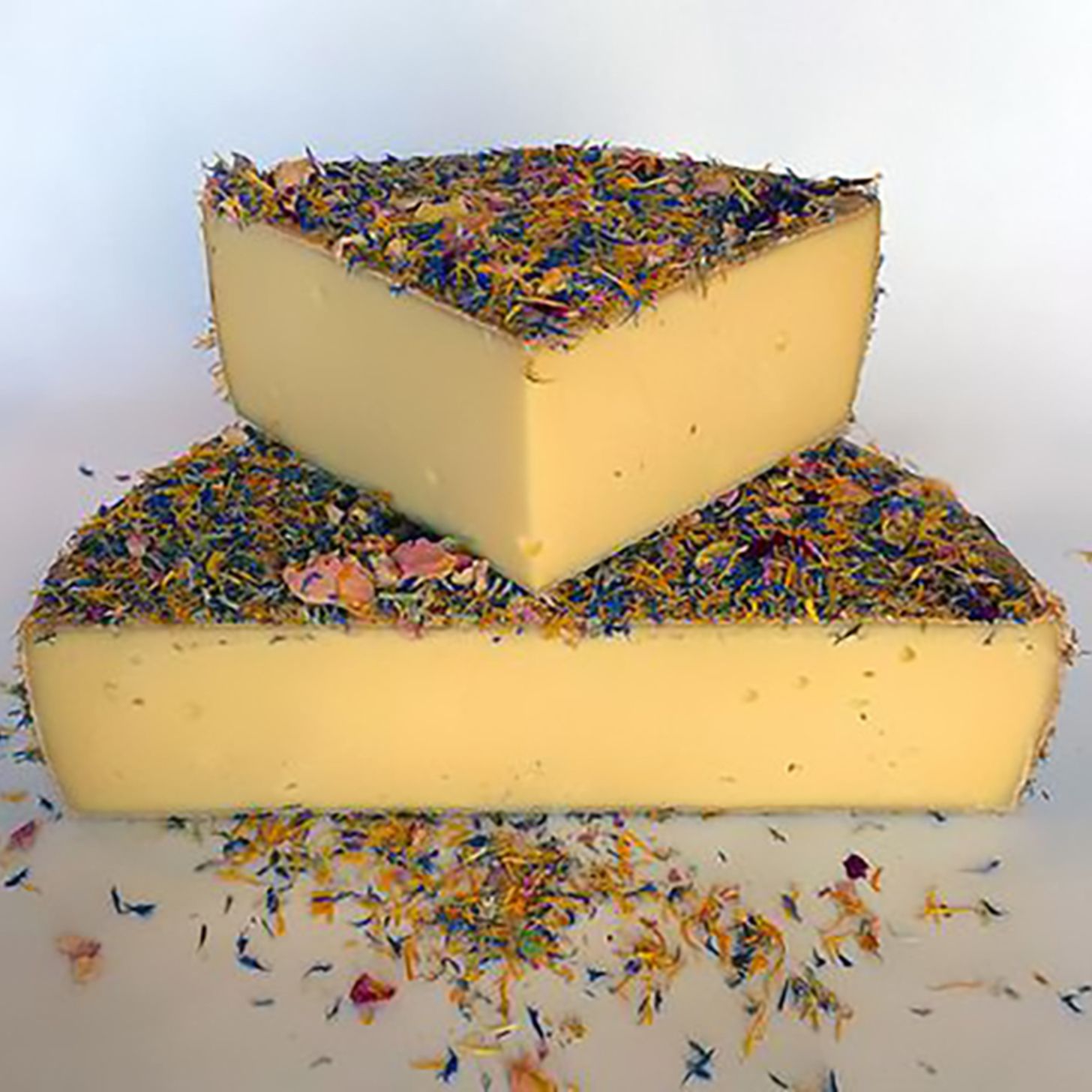 Columbia Cheese Alp Blossom | Tomales Bay Foods