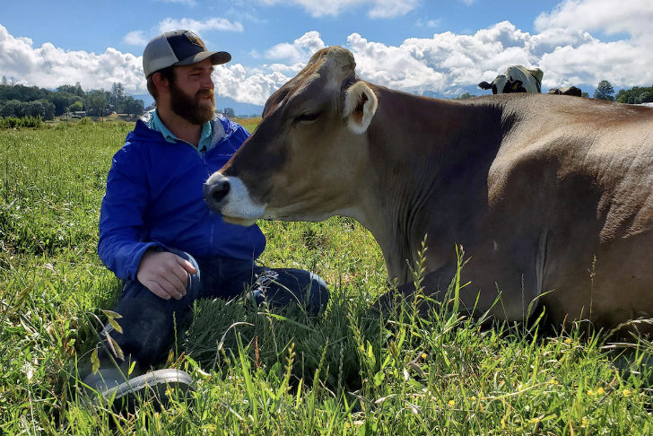 Rogue Creamery Caveman Blue | Tomales Bay Foods