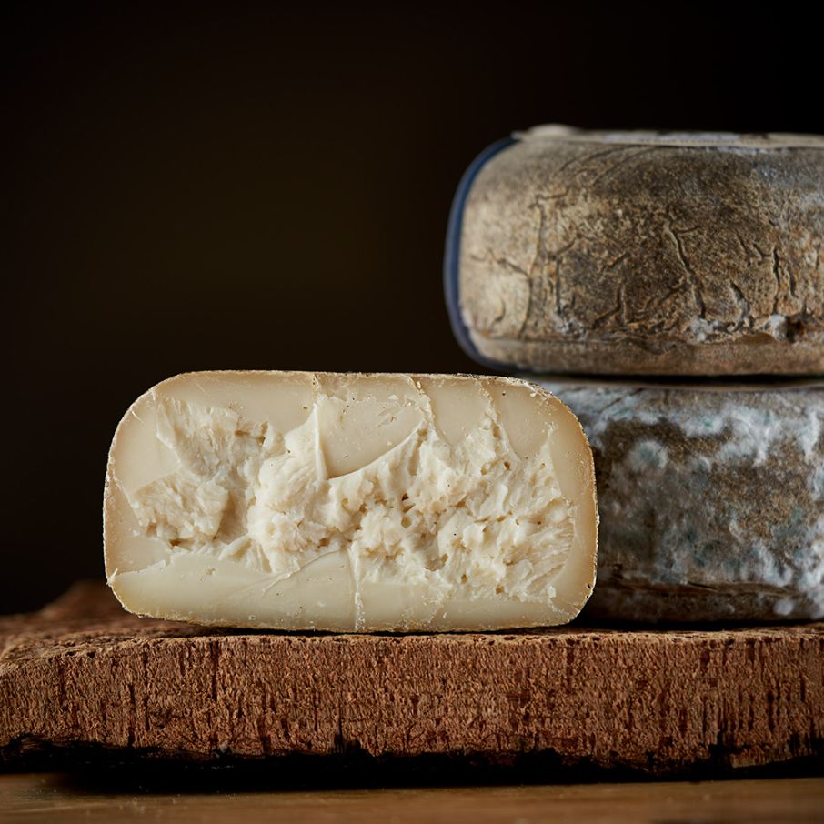 Forever Cheese Casatica di Bufala | Tomales Bay Foods